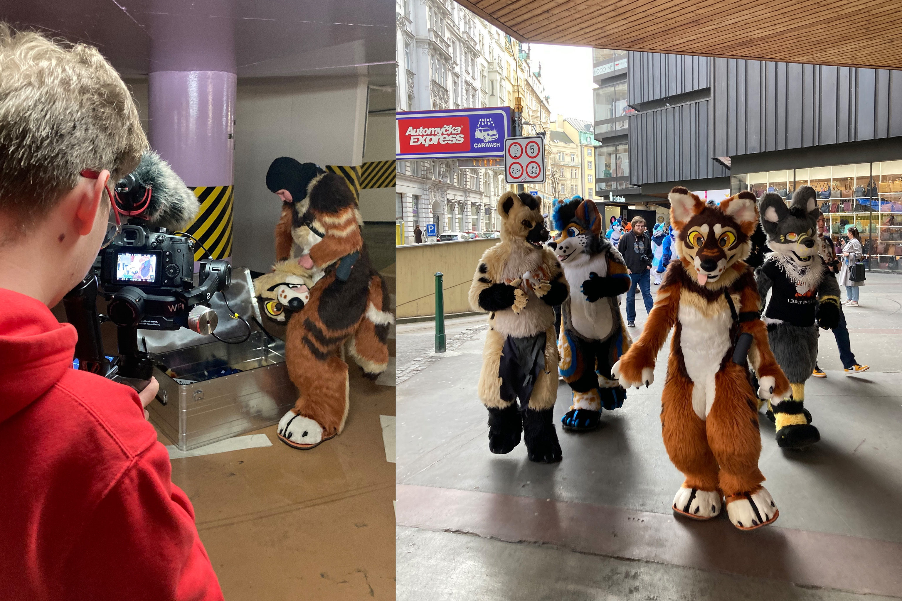 Hithit - Help us make our graduation film about the Furry fandom